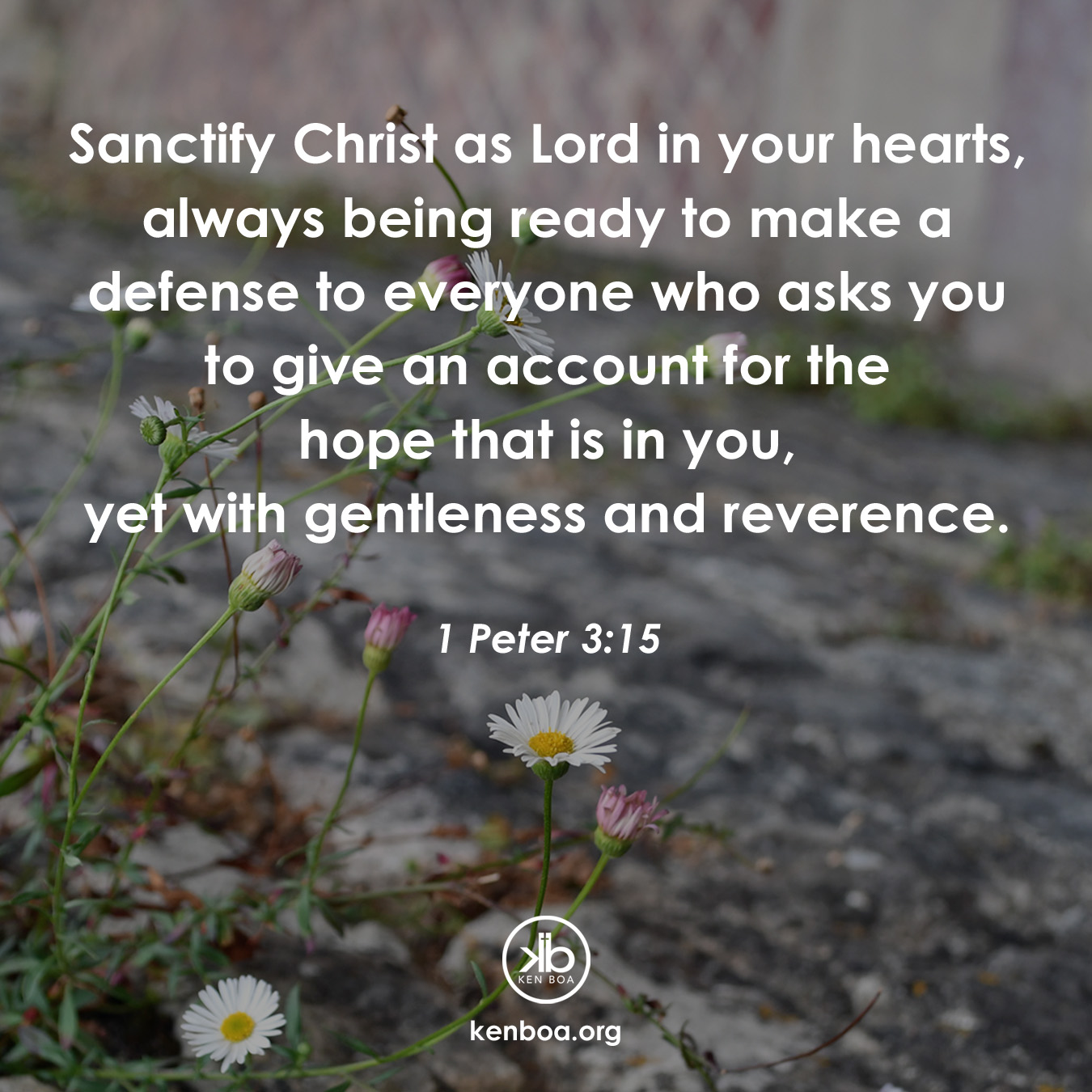 Year 3, Day 343 - Reflections Ministries